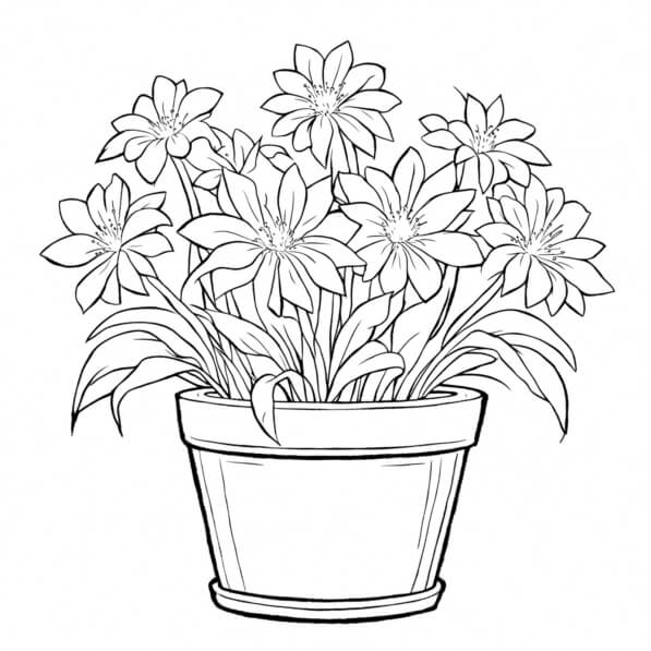 Download Pot of Flowers Outline Drawing Coloring pages Online ...