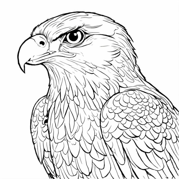 Download Black and White Eagle Coloring Page Coloring pages Online ...