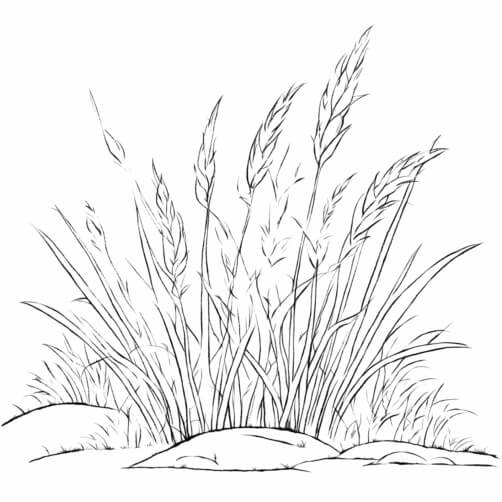 Free Grass Coloring pages - Download Printable Grass Coloring sheets ...