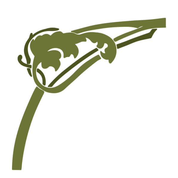 Descarga Diseño Floral Verde y Marrón en un Triángulo Invertido Bordes ...