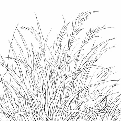 Free Grass Coloring pages - Download Printable Grass Coloring sheets ...