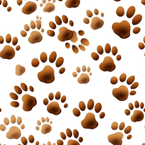 Download Colorful Dog Paw Prints Seamless Pattern Patterns Online ...