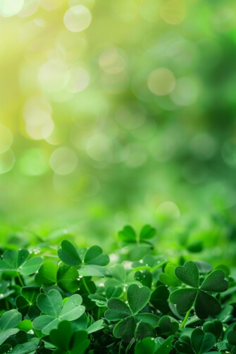 Clover Backgrounds - Download Free & Premium Transparent Clover ...