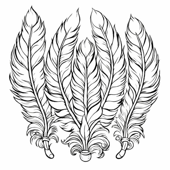 Download Black and White Feathers Drawing Coloring pages Online ...
