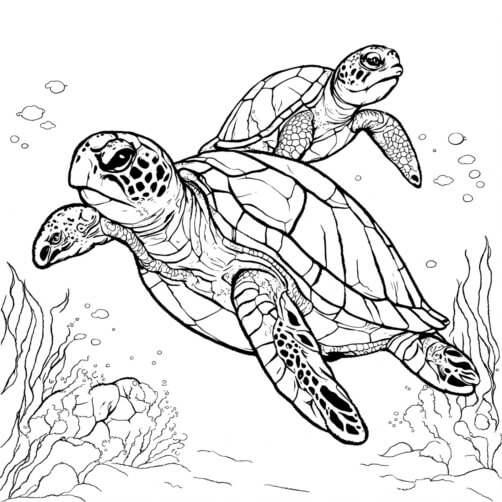 Download Turtles Swimming in the Ocean Coloring Pages Coloring pages ...