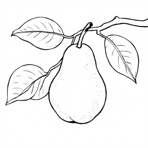 Free Pear Coloring pages - Download Printable Pear Coloring sheets ...