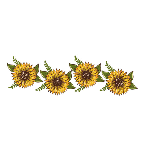 Sunflower - Download Free & Premium Transparent Sunflower Images Online ...