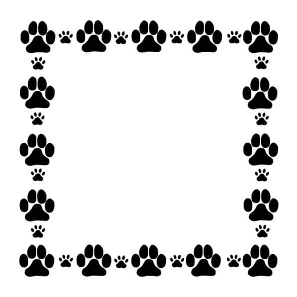 Download Black Frame with Dog Paw Prints Frames Online - Creative Fabrica