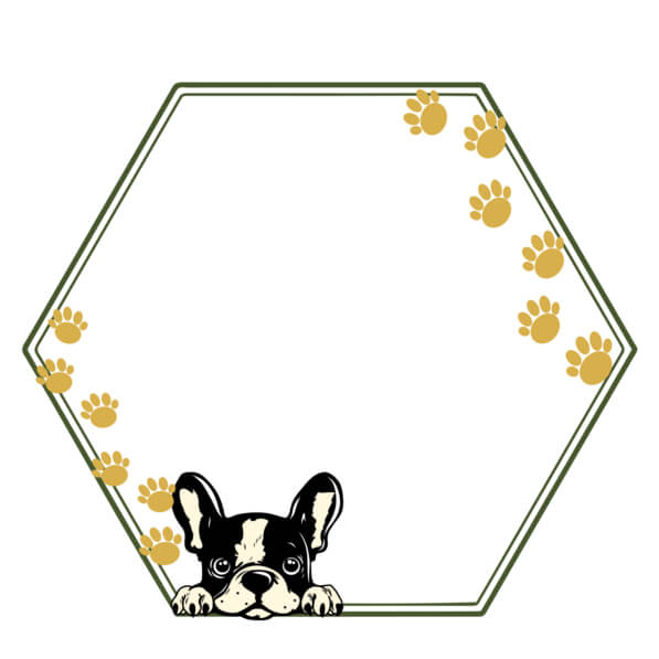 Download White Hexagonal Frame with Paw Prints and French Bulldog ...