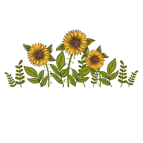 Download Sunflower and Plant Border Pattern Borders & Corners Online ...