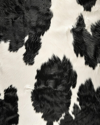 Cowhide Backgrounds - Download Free & Premium Transparent Cowhide ...