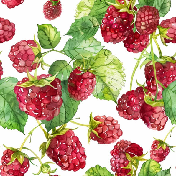 Download Seamless Red Raspberry Pattern Patterns Online - Creative Fabrica