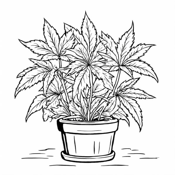 Free Weed Coloring pages - Download Printable Weed Coloring sheets ...