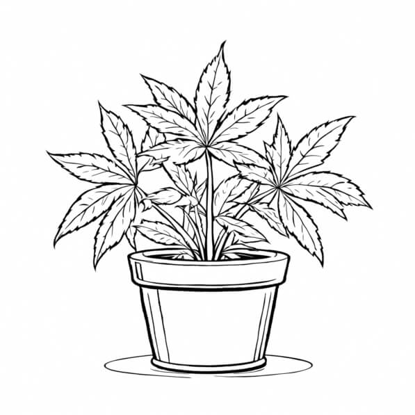 Download Potted Marijuana Plant Outline Drawing Coloring pages Online ...