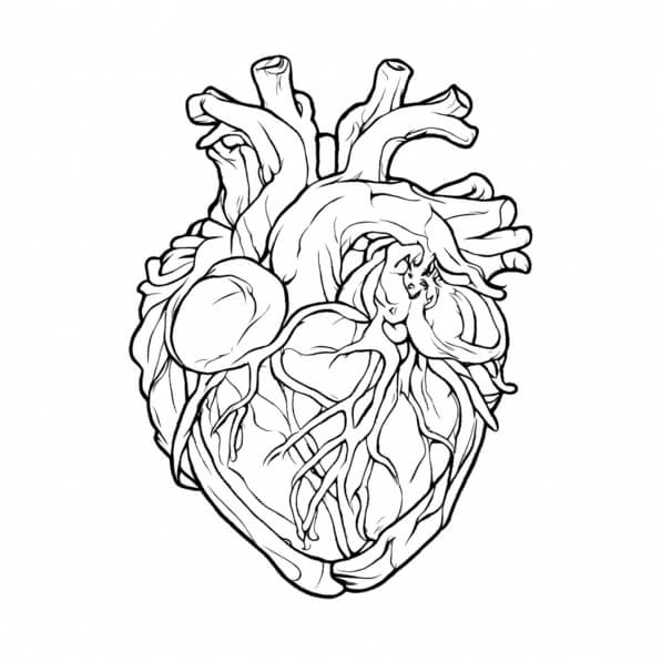 Download Human Heart Outline Coloring pages Online - Creative Fabrica