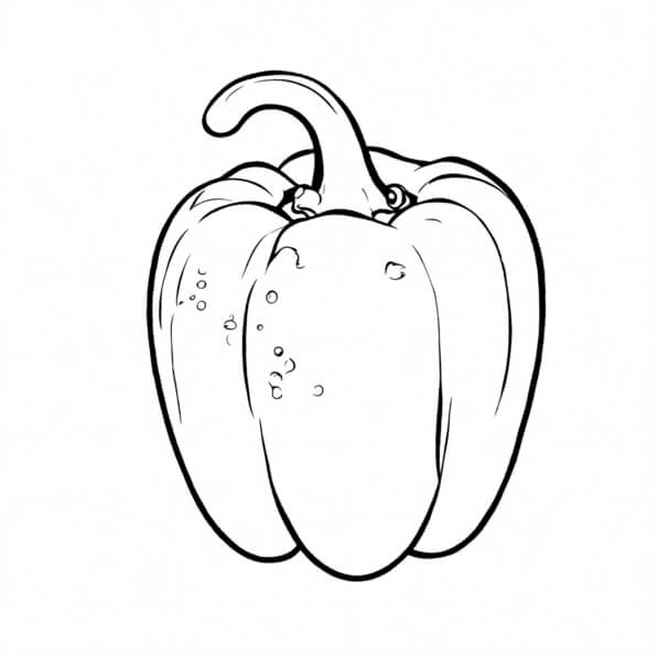 Descarga Página para colorear educativa de un pimiento Páginas para ...