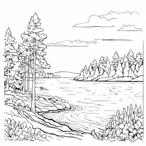 Download Forest Landscape with Trees and Water Coloring pages Online ...