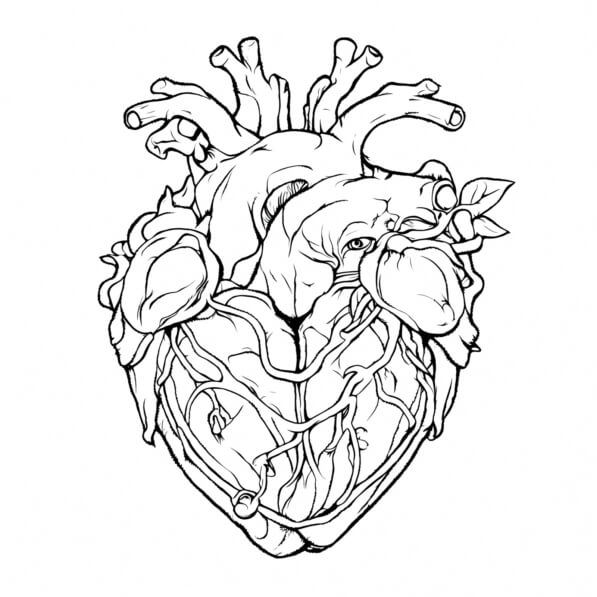 Heart Healthy Coloring Pages Color The Heart Coloring Page Twisty