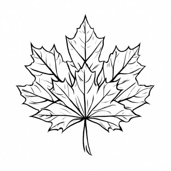 Download Canadian Maple Leaf Coloring Page Coloring pages Online ...