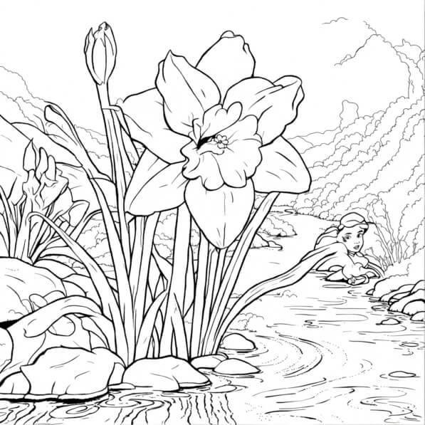 Download Nature Coloring Page with Flower, Rocks, and Trees Coloring ...