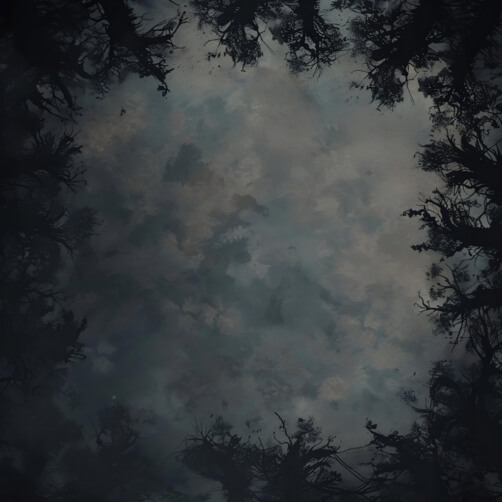 Dark Tree Backgrounds - Download Free & Premium Transparent Dark Tree ...