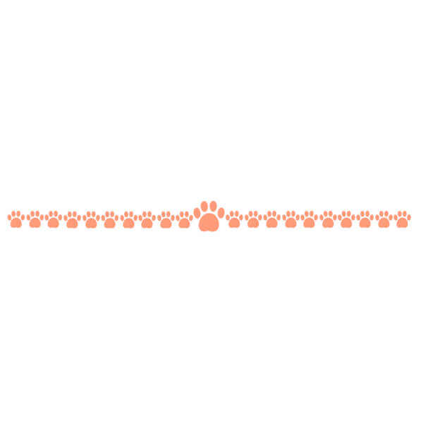 Download Orange Paw Print Line for Dogs Borders & Corners Online ...
