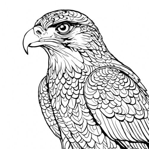 Free Falcon Coloring pages - Download Printable Falcon Coloring sheets ...