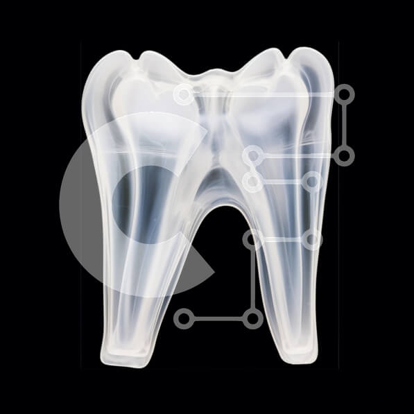 Detailed View of a Transparent Tooth Model stock photo | Creative Fabrica