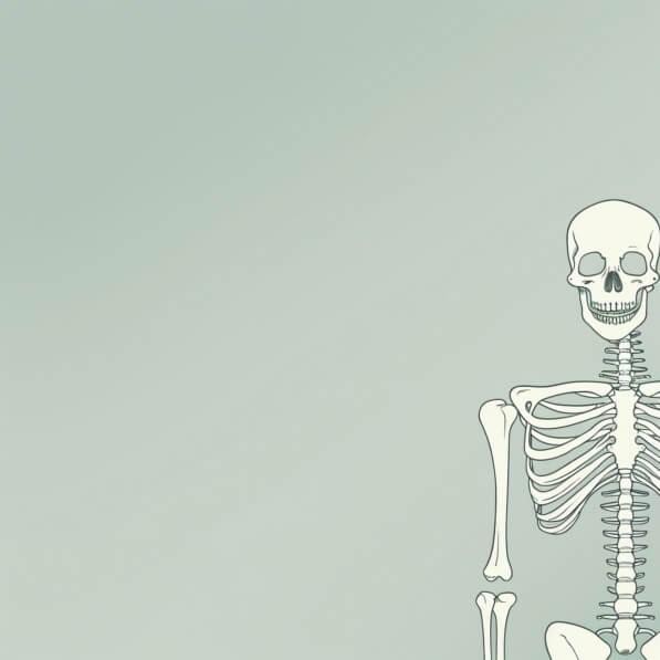 Download Artistic Representation of a Human Skeleton Backgrounds Online ...