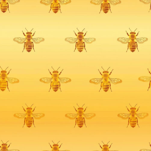Descarga Patrón de Abejas sobre Fondo Amarillo Patrones En Línea ...