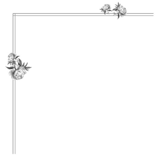Download Floral Border Design Borders & Corners Online - Creative Fabrica