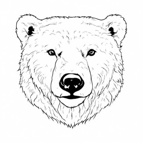 Scarica Orso Polare Bianco Seduto su Rocce Pagine da colorare Online ...