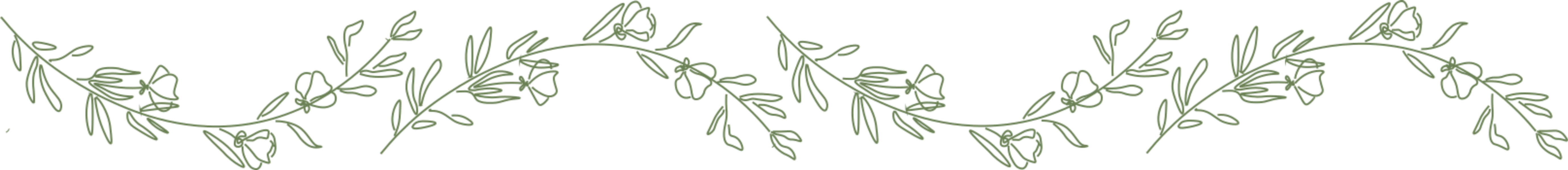 Download Intricate Floral Vine Line Drawing Borders & Corners Online ...