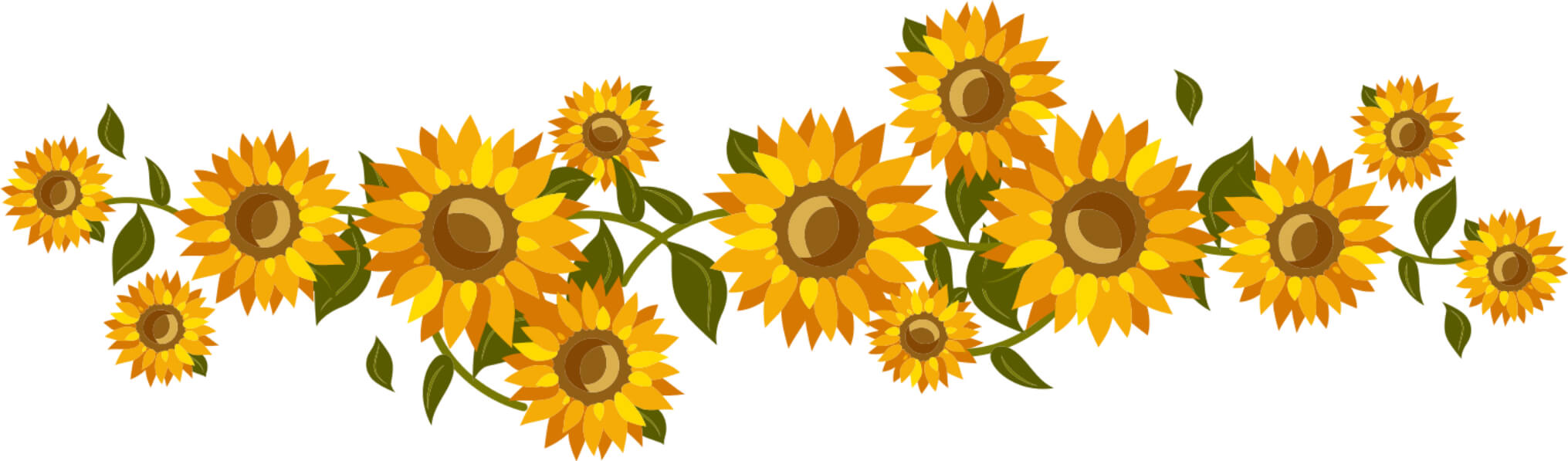 Sunflower - Download Free & Premium Transparent Sunflower Images Online ...
