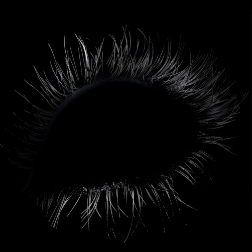 Eyelash Backgrounds - Download Free & Premium Transparent Eyelash ...