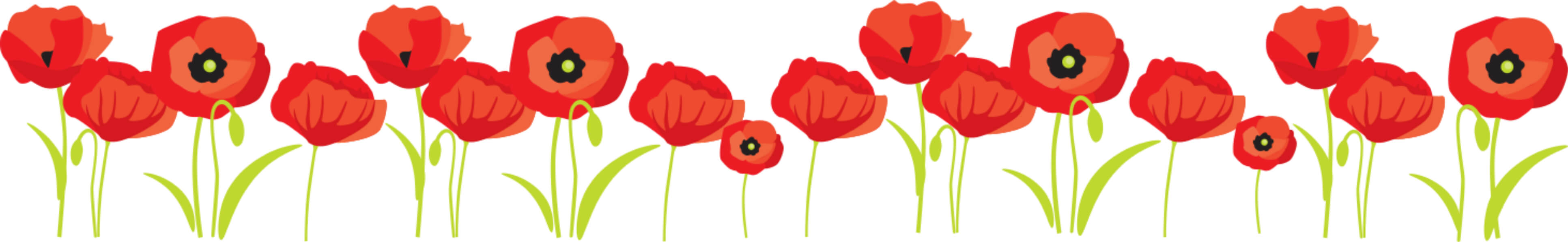 Download Row of Vibrant Red Poppy Flowers Borders & Corners Online ...