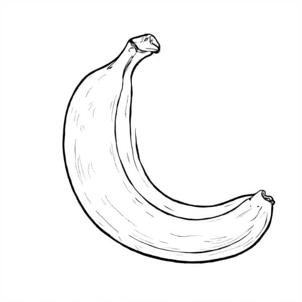 Download Line Drawing of a Banana Coloring pages Online - Creative Fabrica