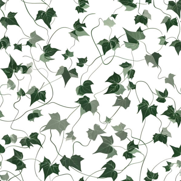 Download Seamless Ivy Leaf Pattern Patterns Online - Creative Fabrica