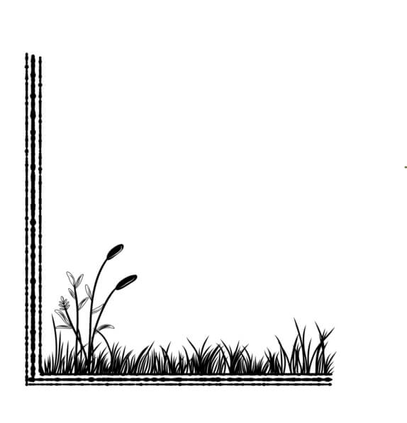 Download Elegant Black-and-White Nature Illustration Borders & Corners ...