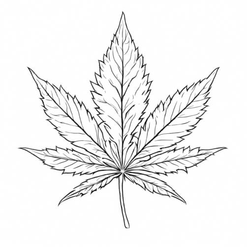 Download Cannabis Leaf Line Drawing Coloring pages Online - Creative ...