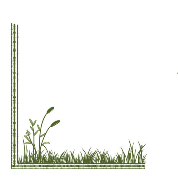 Descarga Borde Decorativo Inspirado en la Naturaleza con Hierba Verde ...