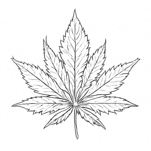 Download Line Drawing of a Cannabis Leaf Coloring pages Online ...