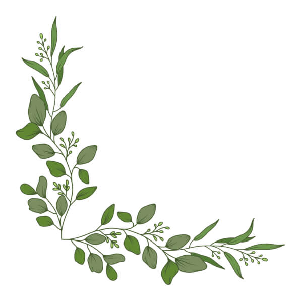 Download Elegant Green Leaf Arrangement Borders & Corners Online ...