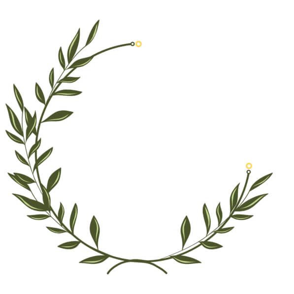 Download Crescent-Shaped Olive Branch Illustration Frames Online ...