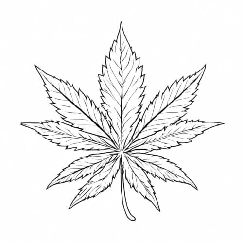 Download Line Drawing of a Cannabis Leaf Coloring pages Online ...