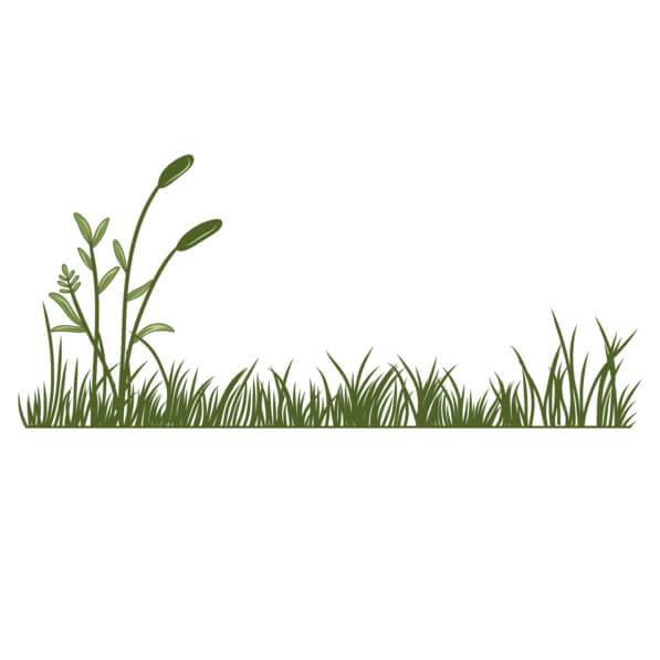 Download Stylized Green Grass and Plants Illustration Borders & Corners ...