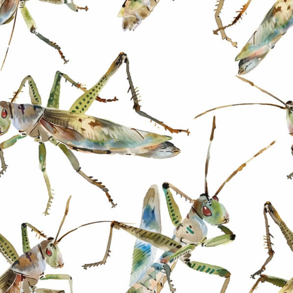 Download Colorful Grasshopper Pattern in Watercolor Art Patterns Online - Creative Fabrica