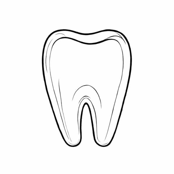 Download Minimalist Tooth Illustration Coloring pages Online - Creative ...