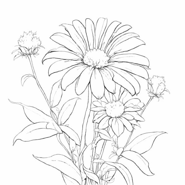 Download Intricate Line Drawing of Flowers Coloring pages Online ...