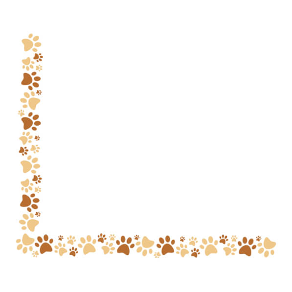 Download Decorative Paw Print Border Borders & Corners Online ...